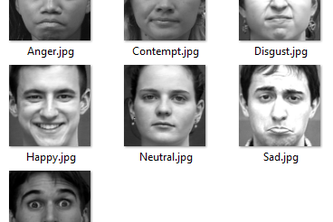 Facial Expressions Recognition Using Web Camera | Devpost