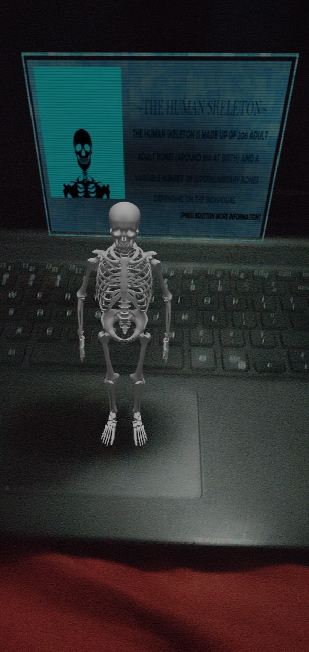 The human Skeleton | Devpost