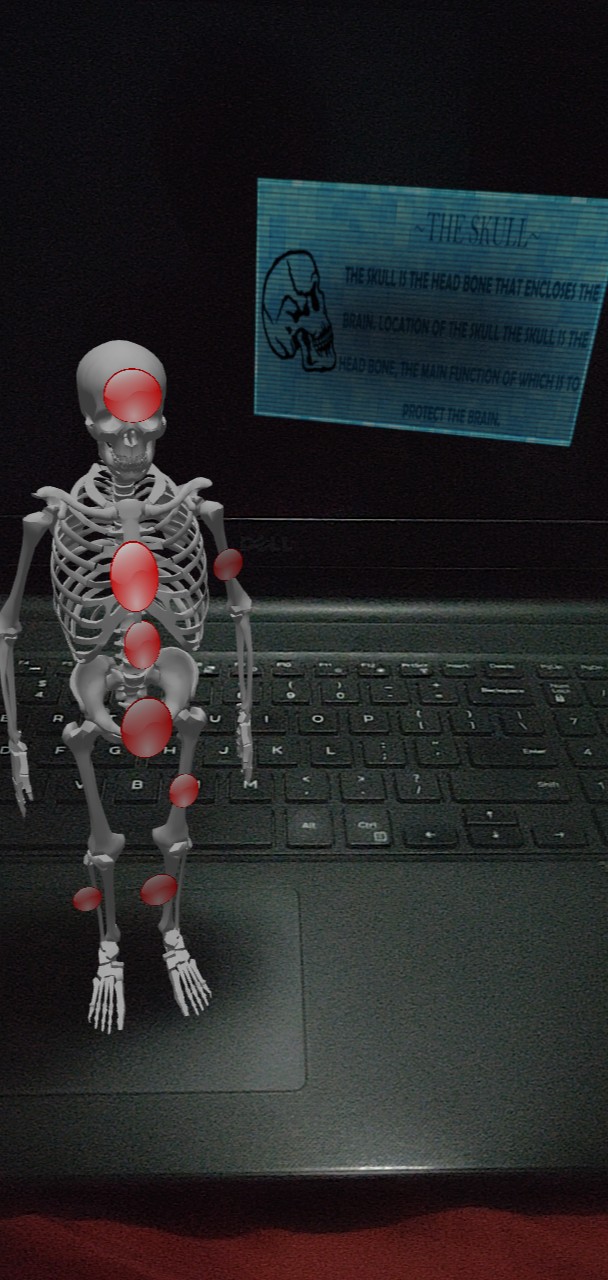 The human Skeleton | Devpost