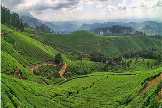 Destination Marketing | Devpost