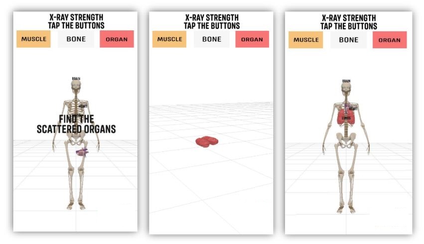 Anatomy for Real | Devpost