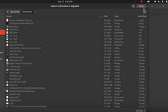 Directory Sweeper | Devpost