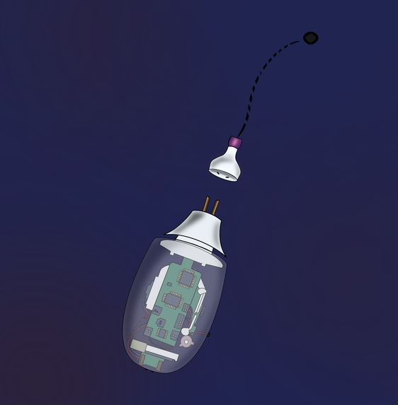 The Chicken Project | Devpost