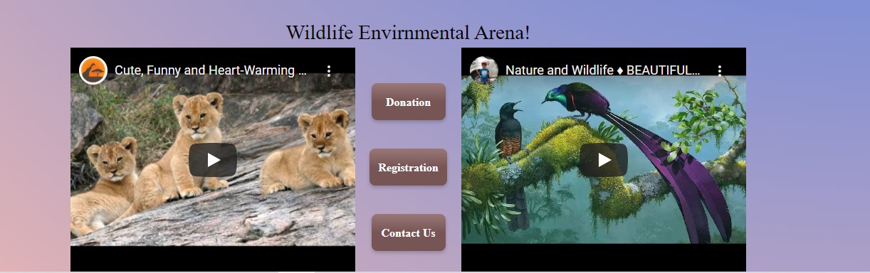 Wildlife Environmental Arena! | Devpost