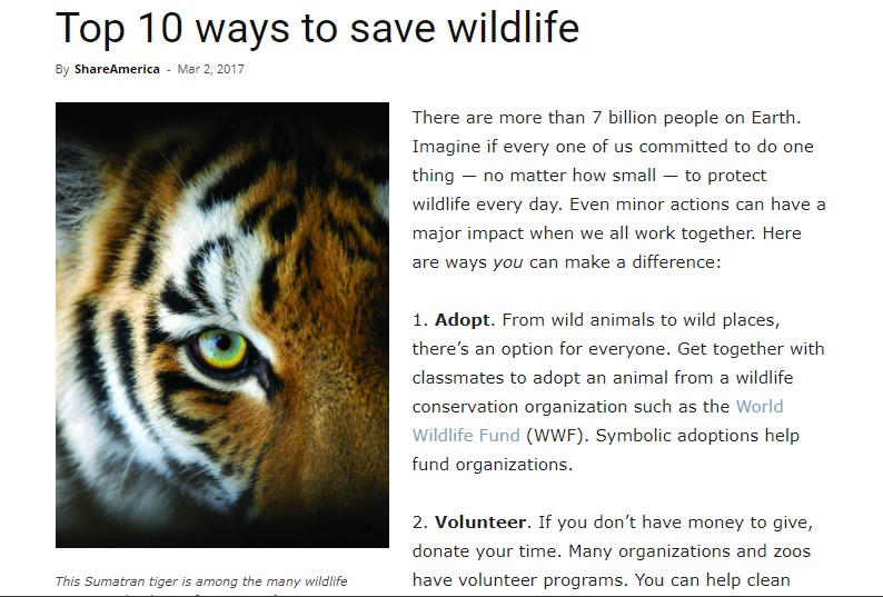 Wildlife Environmental Arena! | Devpost