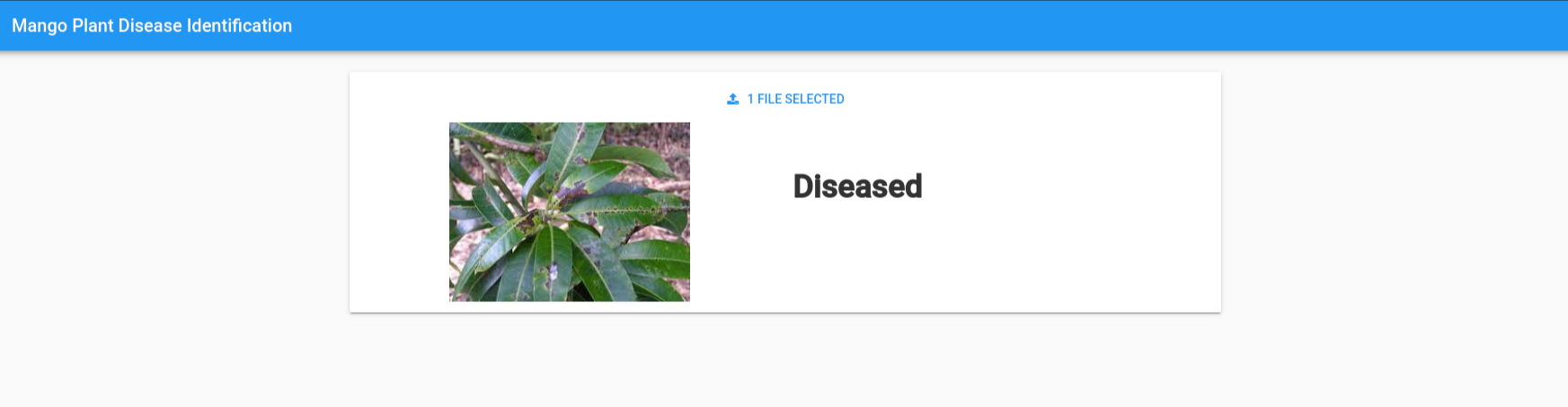 Mango Plant Disease Identification | Devpost