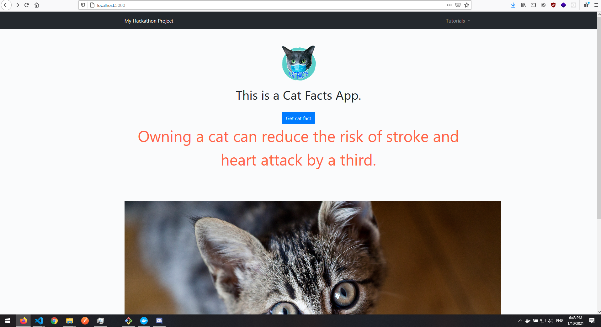 Node JS Cat Facts | Devpost