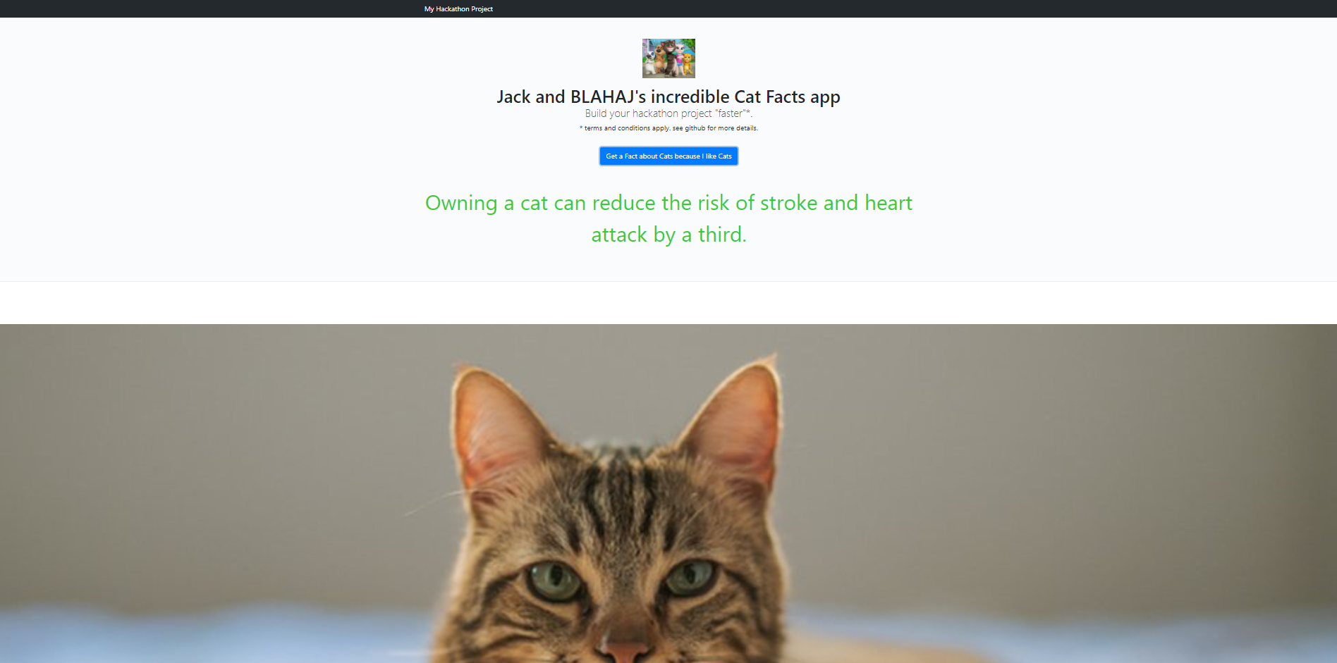 Random Cat Facts : Build with a Starter Kit Challenge | Devpost