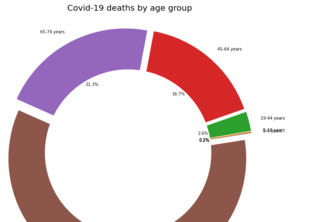 Data Visualization | Devpost