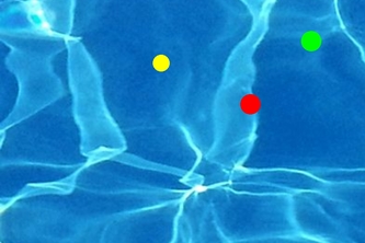 Flying fish game | Devpost