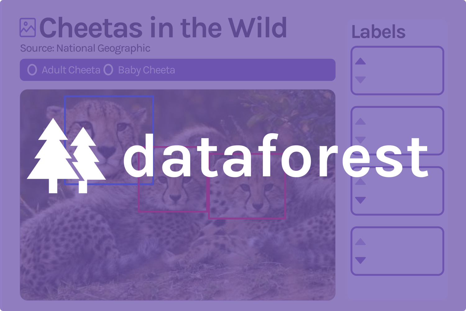 Dataforest Devpost