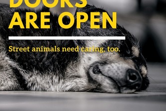 Save the Blahajs | Devpost