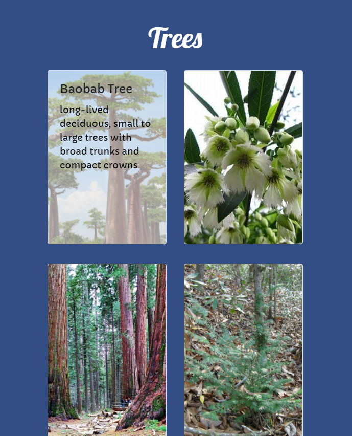 Plant the Planet | Devpost