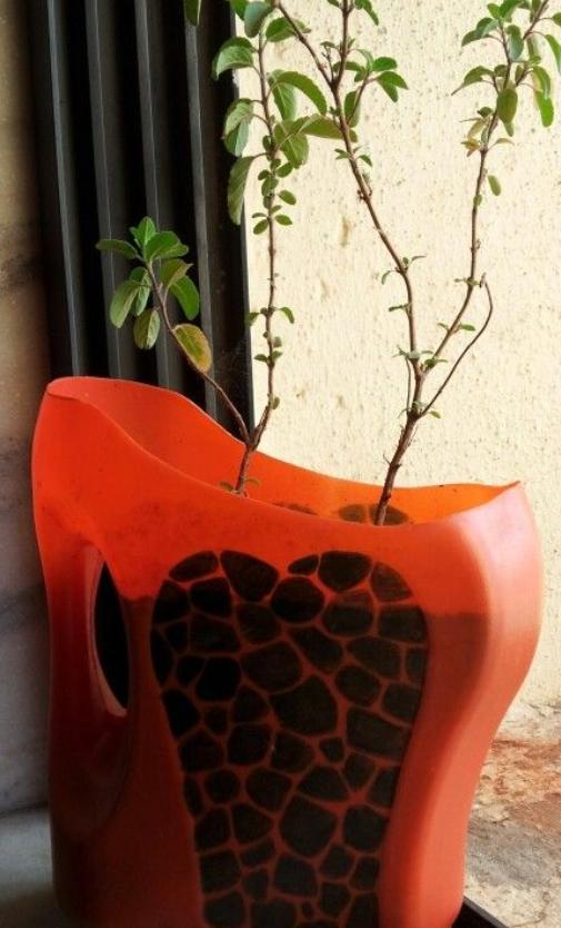 Reduce Single-Use Plastic | Devpost