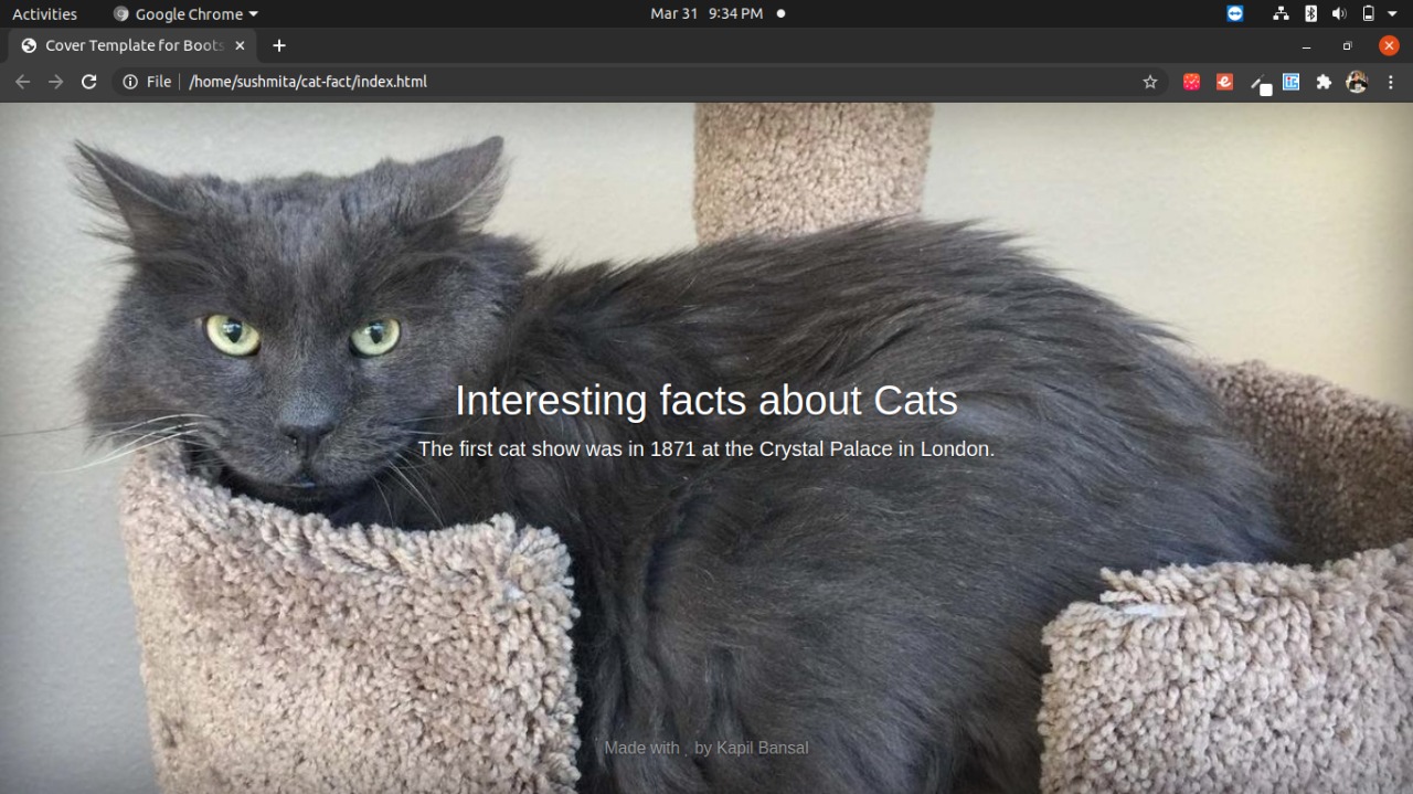 Cat Facts | Devpost
