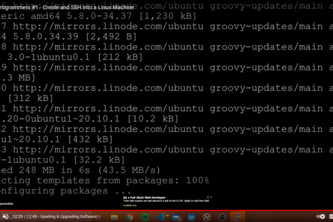 Check out the Linux for Programmers Series | Devpost