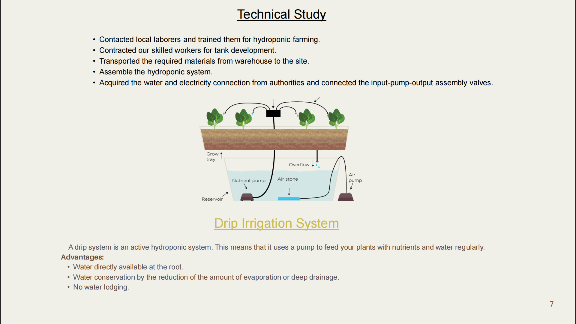 Business Plan | Devpost