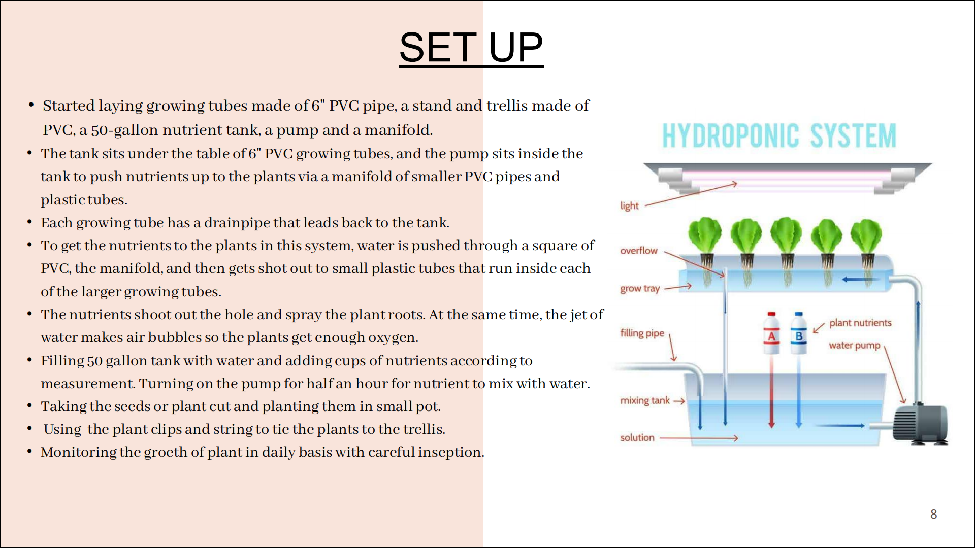 Business Plan | Devpost