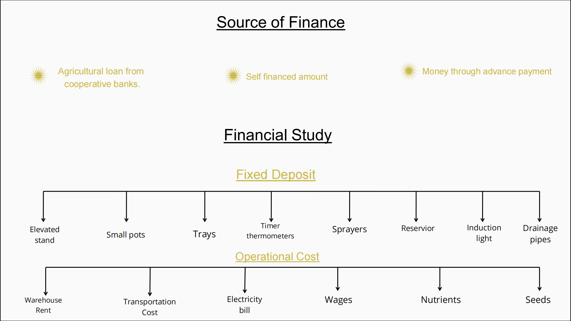 Business Plan | Devpost