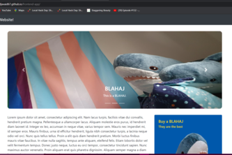 Frontend Framework Devpost