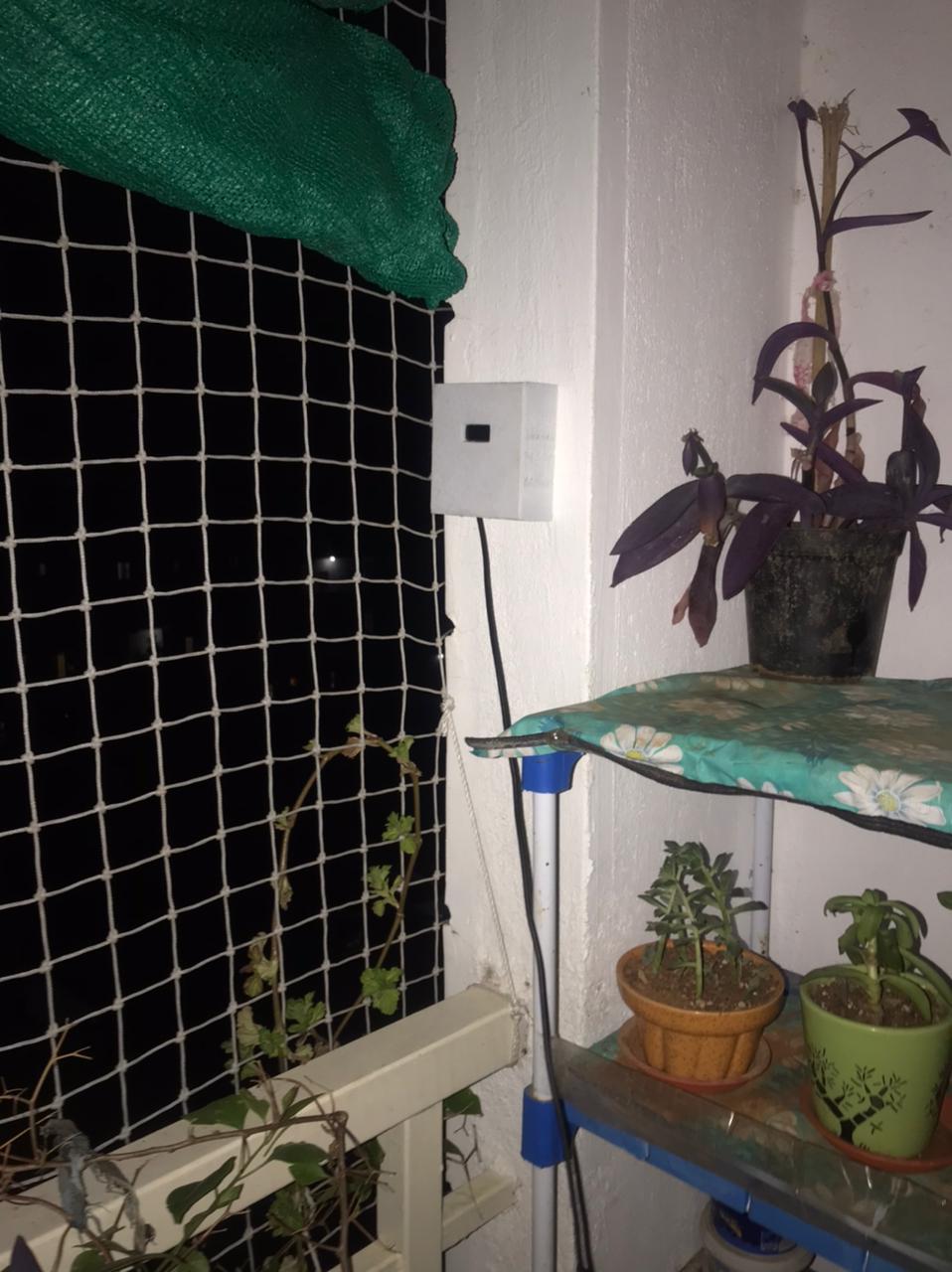 Weather-Boi | Devpost