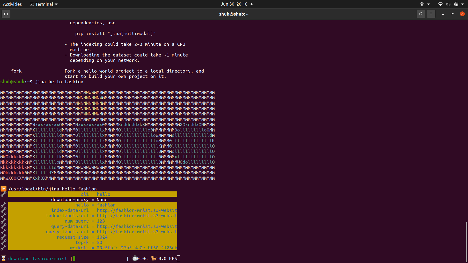 Hello Jina | Devpost