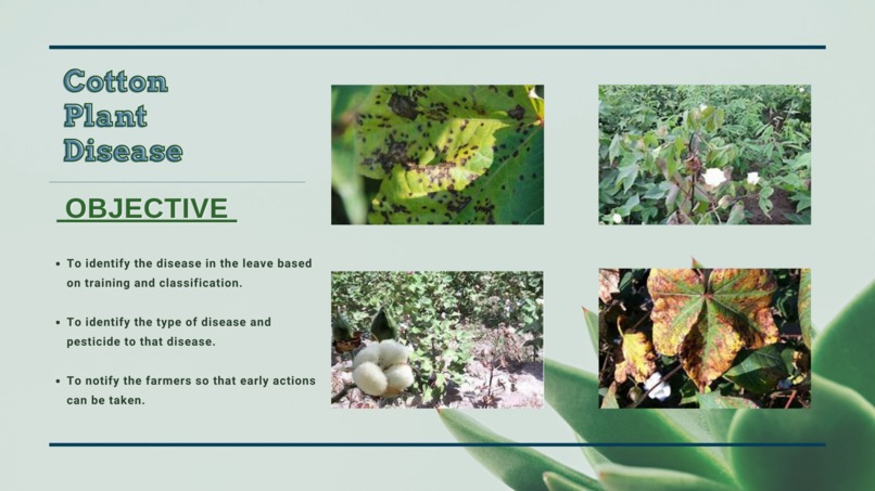 COTTON PLANT DISEASE DETECTION | Devpost
