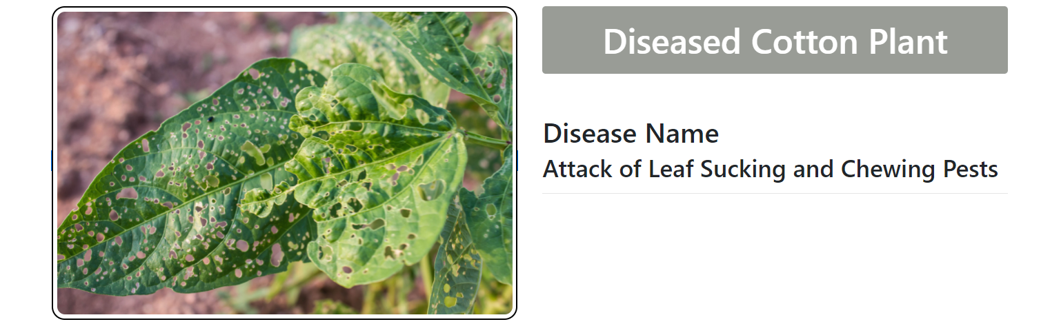 COTTON PLANT DISEASE DETECTION | Devpost