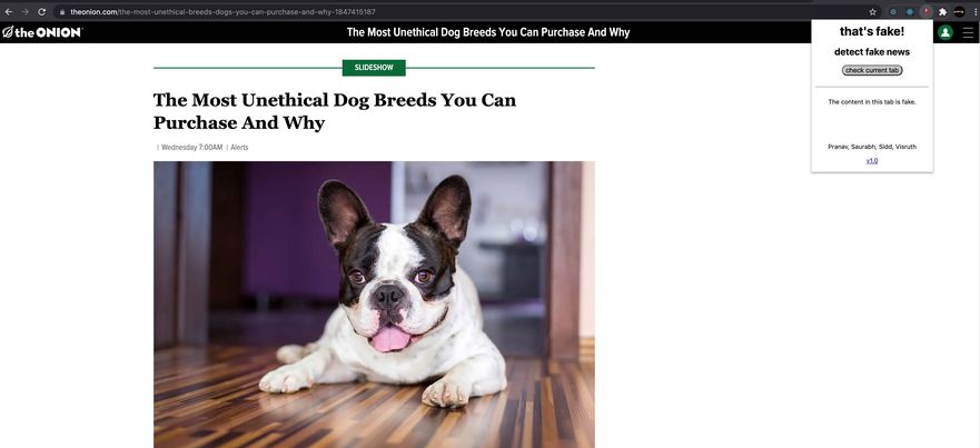 that's fake | Devpost