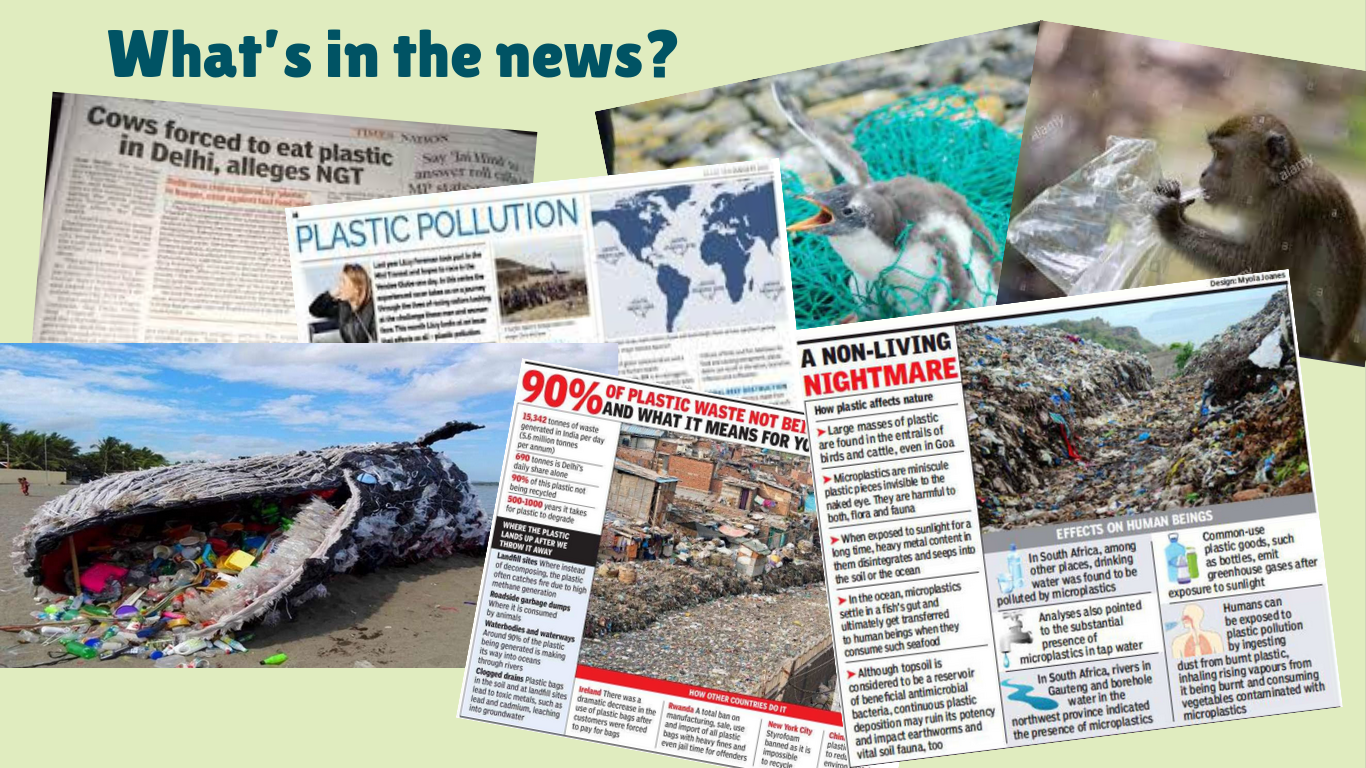 My Plastic Pays | Devpost