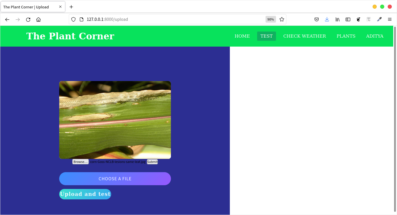 The Plant Corner | Devpost