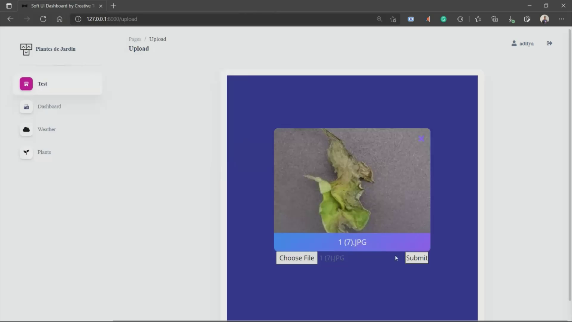 Plantes de Jardin | Devpost