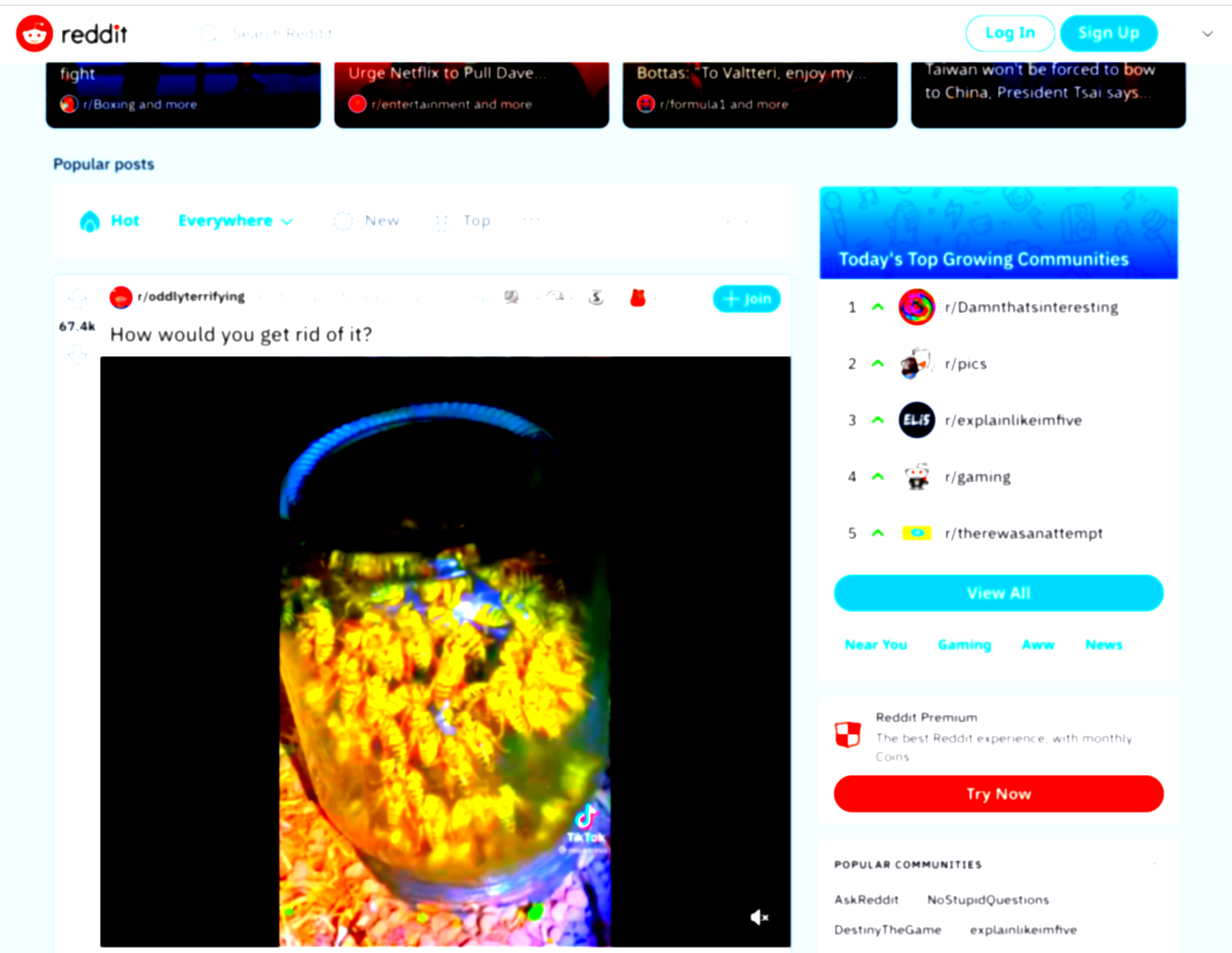 Media Warden | Devpost