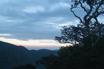 Stepping away from the computer | Devpost