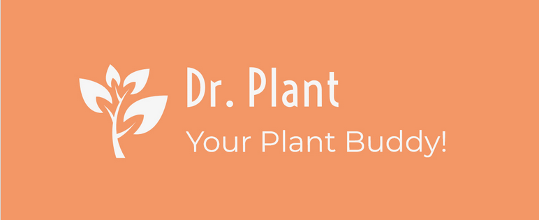 Dr. Plant | Devpost