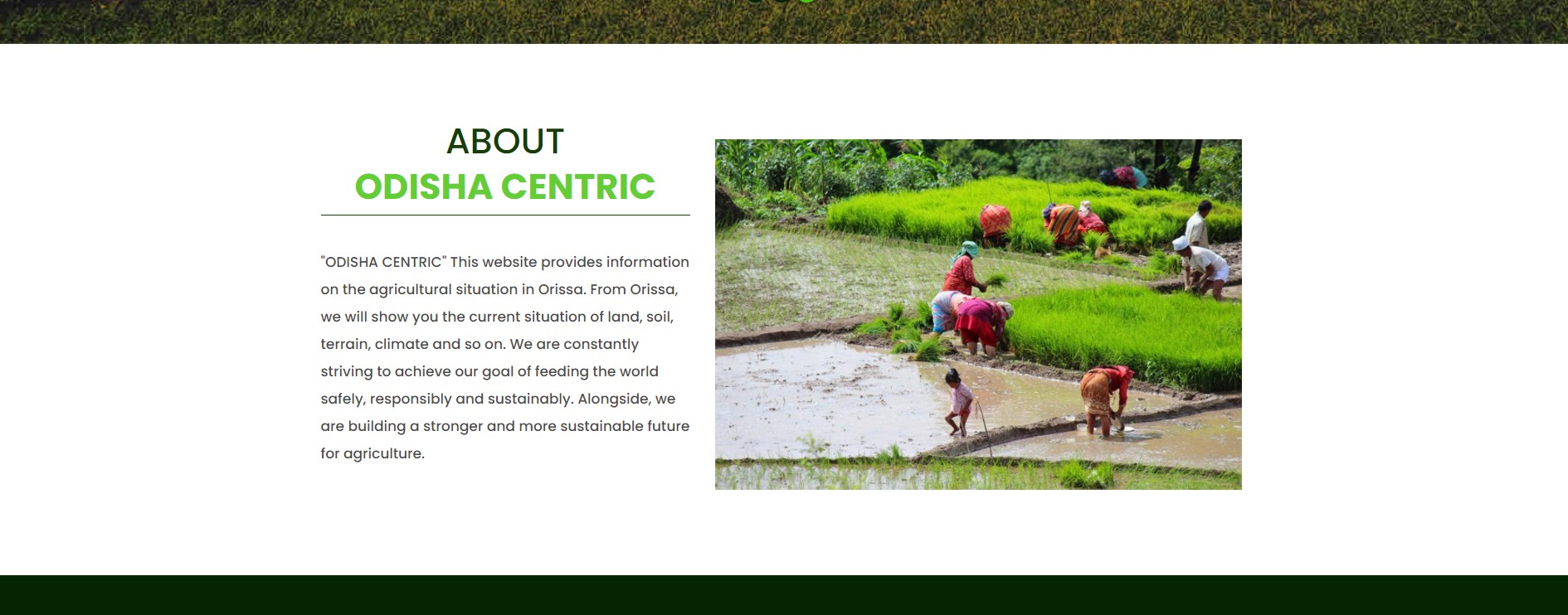 Tech quad_Agro industry -Odisha | Devpost