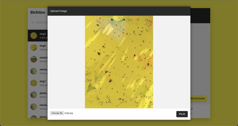 Insect Counting with Deep Learning | Devpost