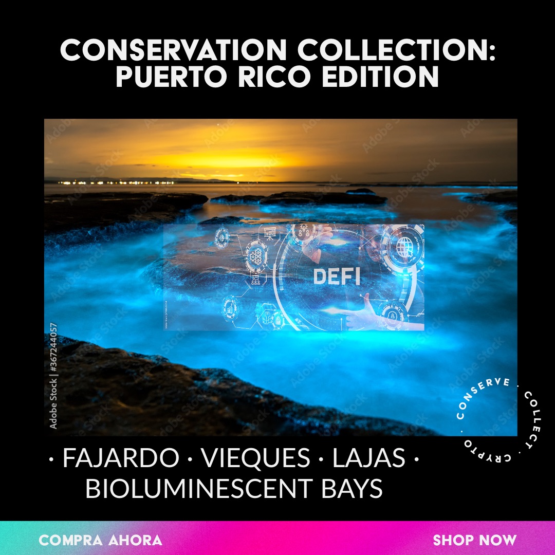 Puerto Rico's first virtual reality bioluminescent bay tour | Devpost