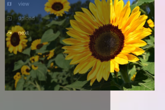 Boys over Flowers | Devpost