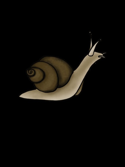 The Study Snail | Devpost