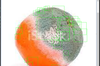 Orange Detection via Machine Learning | Devpost
