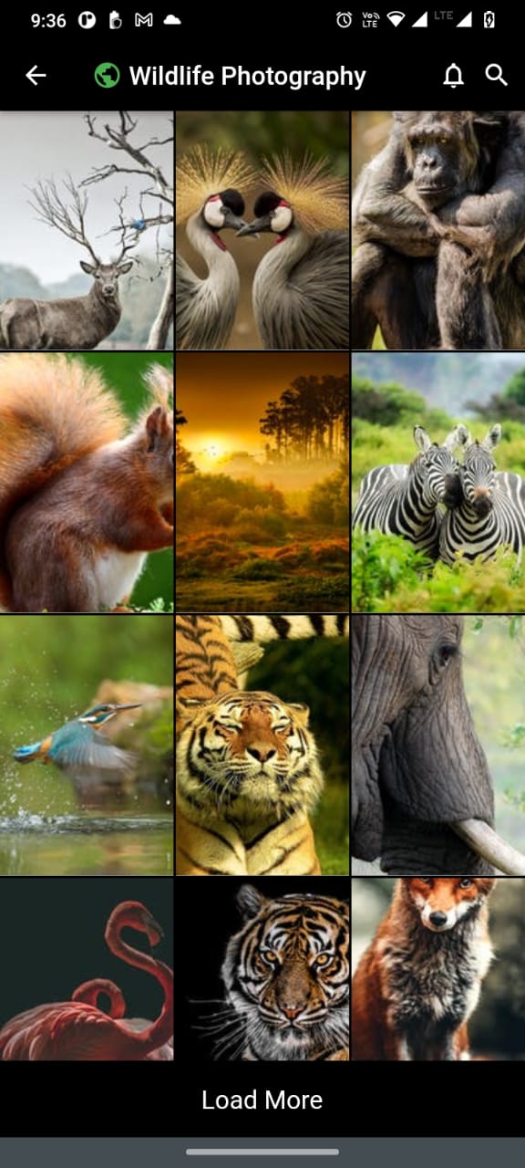 Earth Vista | Devpost