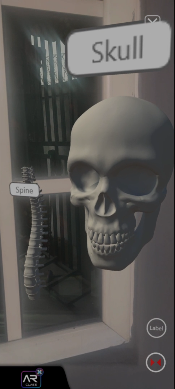 EDU-AR BIOLOGY-V1 | Devpost