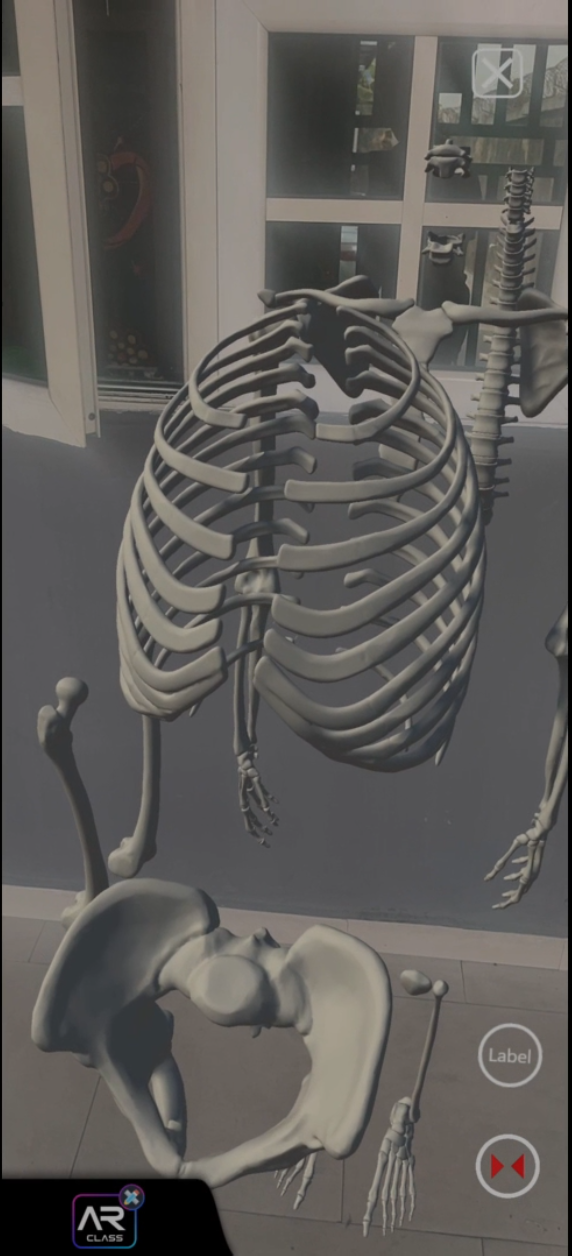 EDU-AR BIOLOGY-V1 | Devpost