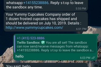 Twilio WhatsApp template | Devpost
