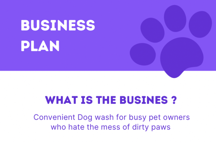 Business Plan | Devpost