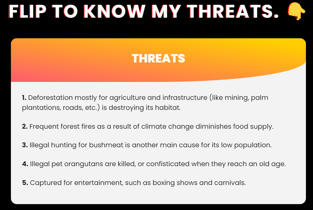 MEAA - Malaysian Endangered Animal Awareness | Devpost