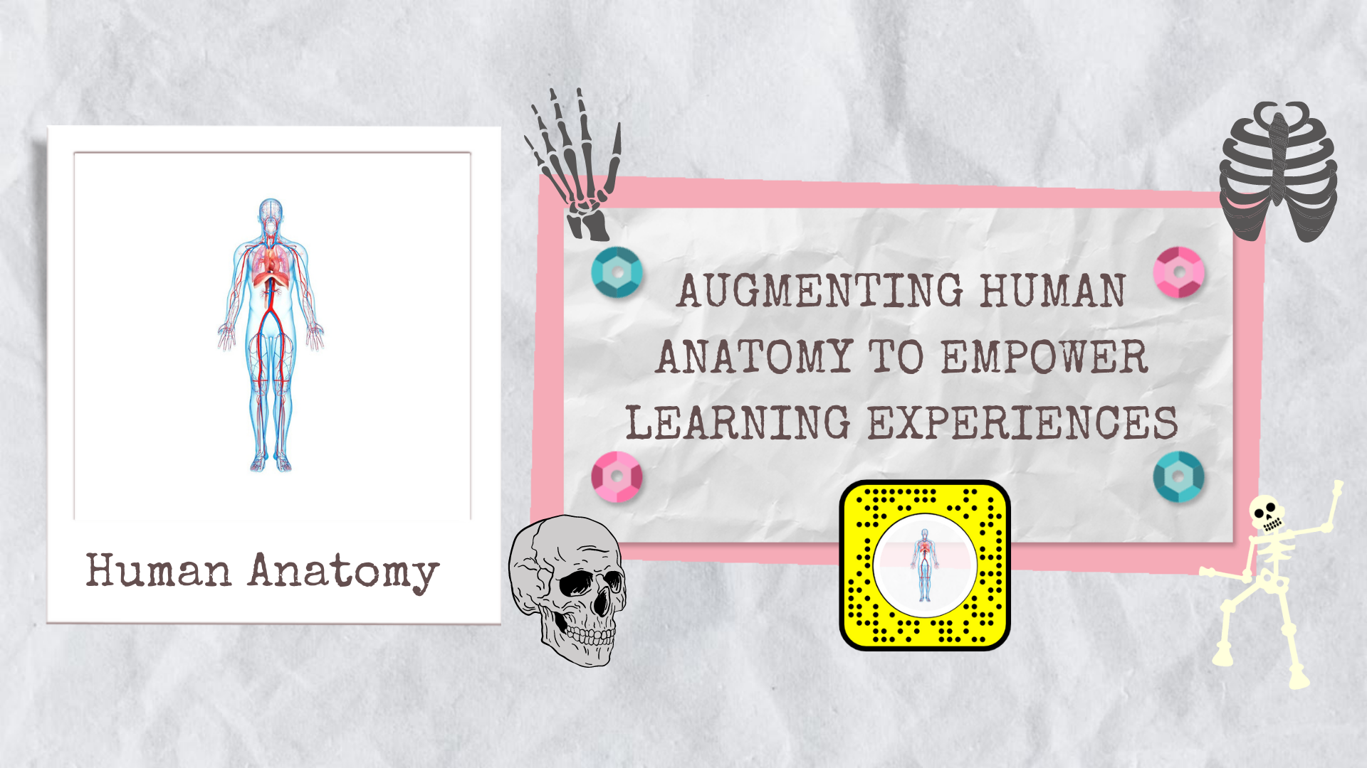 Human Anatomy | Devpost