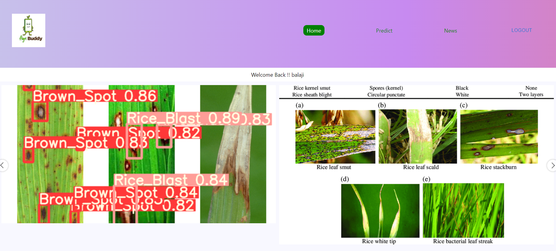 Agri Buddy - Paddy Doctor | Devpost