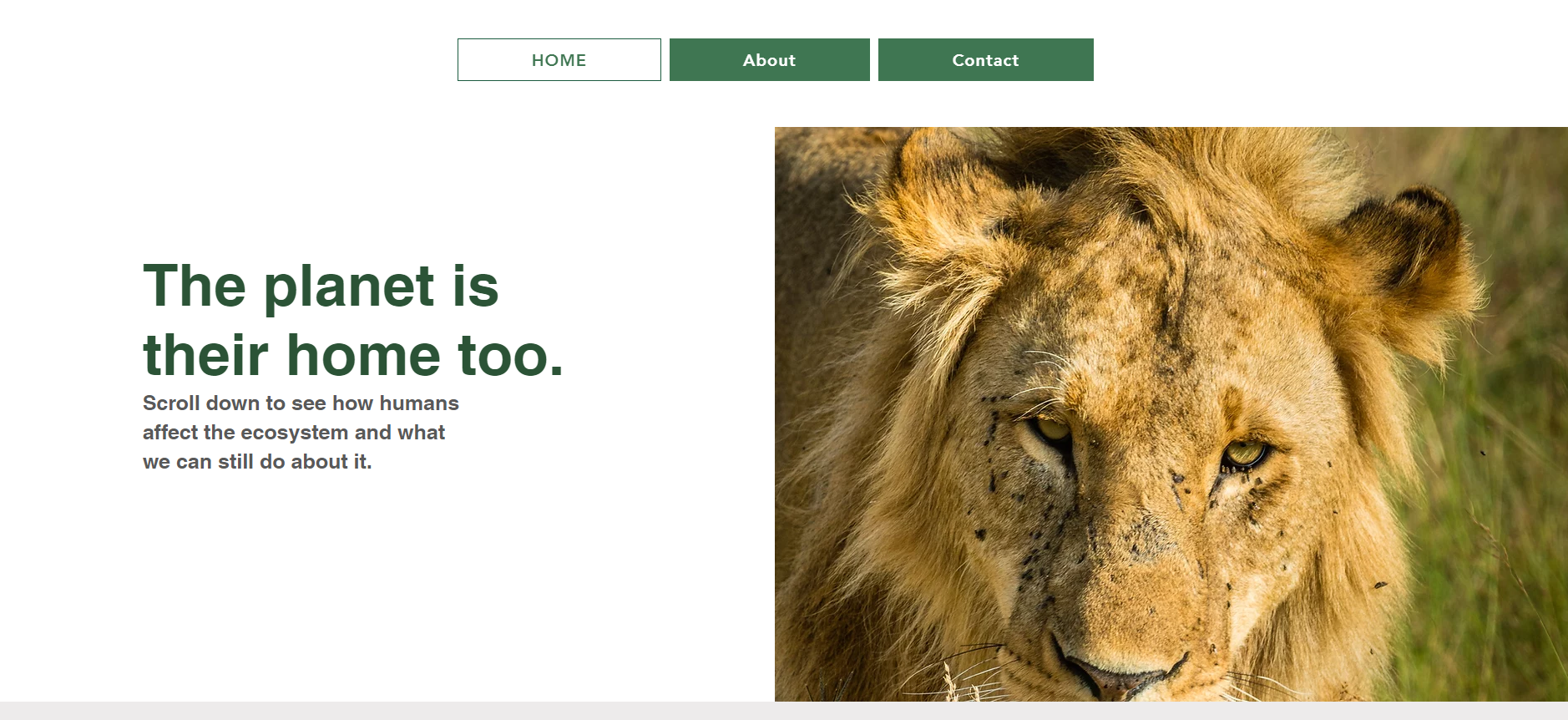 Our Roomies | Devpost